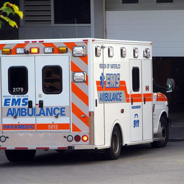 Snakes | HR Law Canada