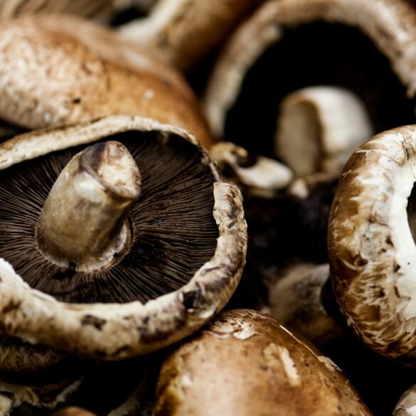 Ontario to raise minimum wage to $17.60 this fall | HR Law Canada