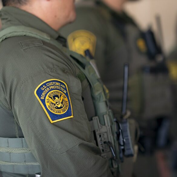 Amber Chisholm named chair of New Brunswick Human Rights Commission ...